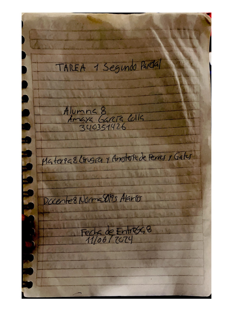 Tarea 1 Segundo Parcial - AGC | PDF