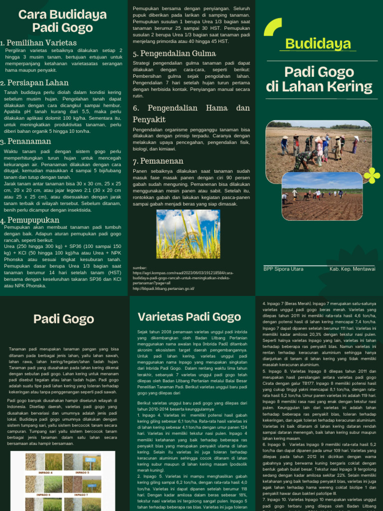 folder Budidaya Padi Gogo | PDF