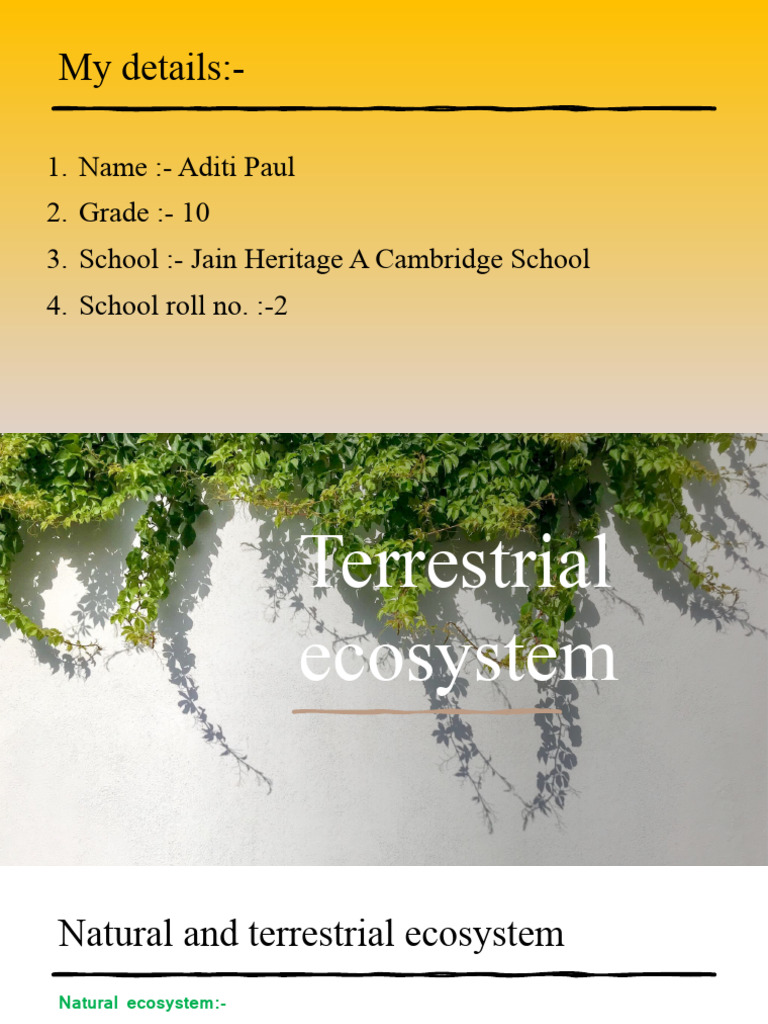 Types of Terrestrial Ecosystems | PDF | Ecosystem | Forests