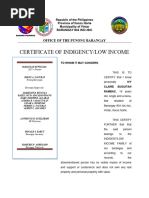Videoke Curfew Ordinance 2024 | PDF | Local Ordinance | Government