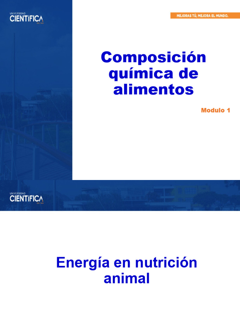 Clase 2 Energia | PDF | Digestión | Alimentos