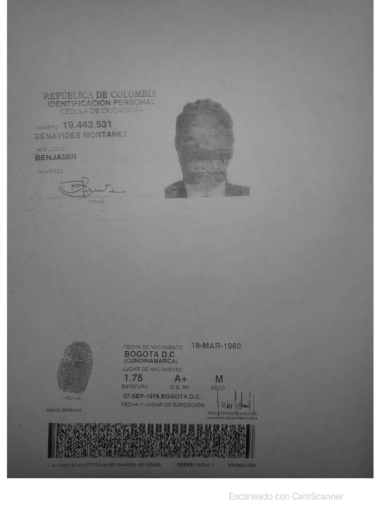 Cédula Benjamin | PDF