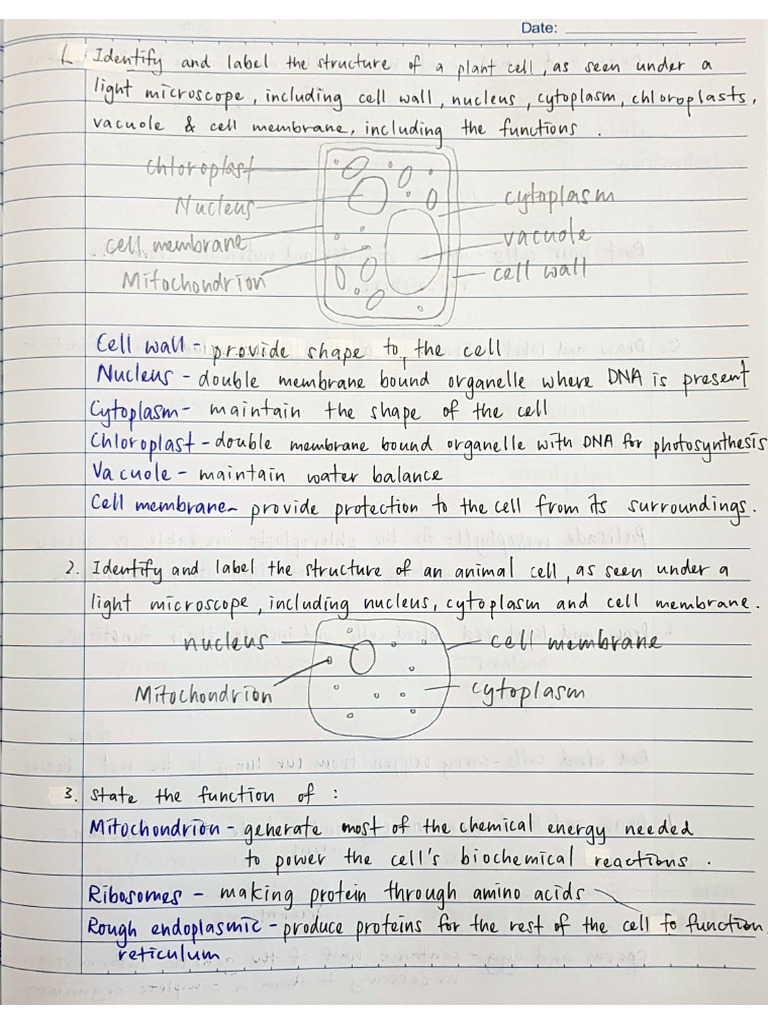 Biology Notes | PDF