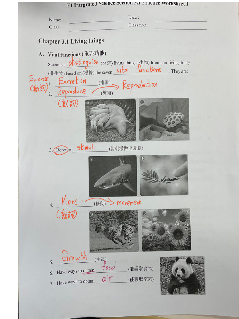 Vital Functions | PDF