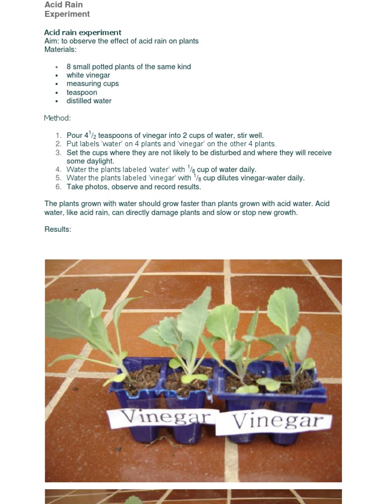 Acid Rain Effects on Plant Growth Experiment | PDF