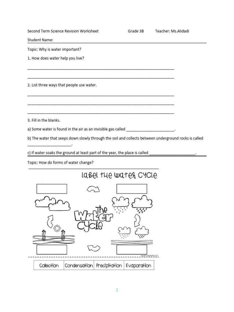 Science Second Term Revision Worksheet | PDF | Rock (Geology) | Soil