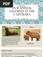 Capybara Life Cycle Overview | PDF | Biology | Zoology