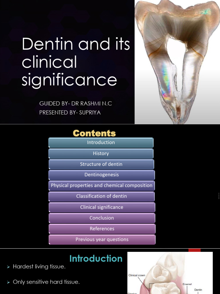 Dentin and Its Clinical Significance | PDF | Dentin | Tooth Enamel