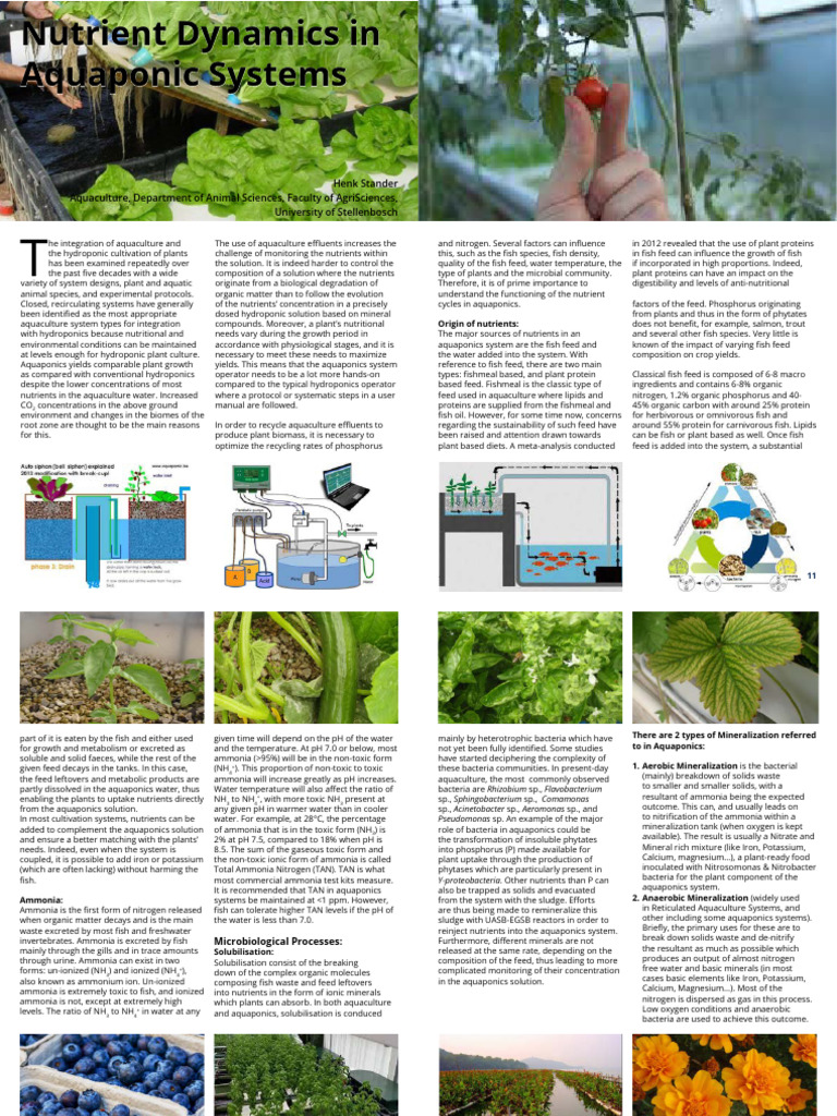 Nutrient Dynamics in Aquaponics Systems | PDF | Aquaponics | Hydroponics