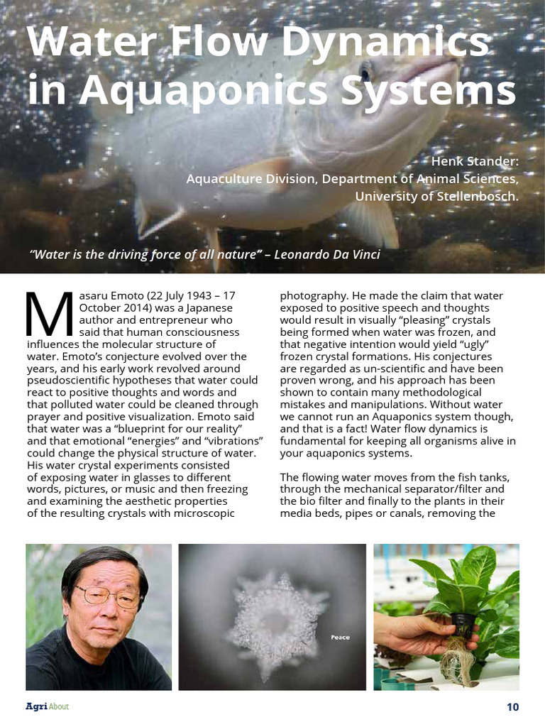 Water Flow Dynamics in Aquaponics Systems | PDF | Aquaponics | Water