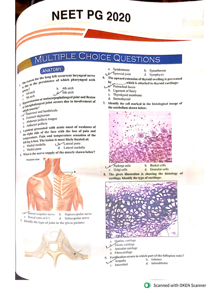 Neet PG 2020-Print | PDF