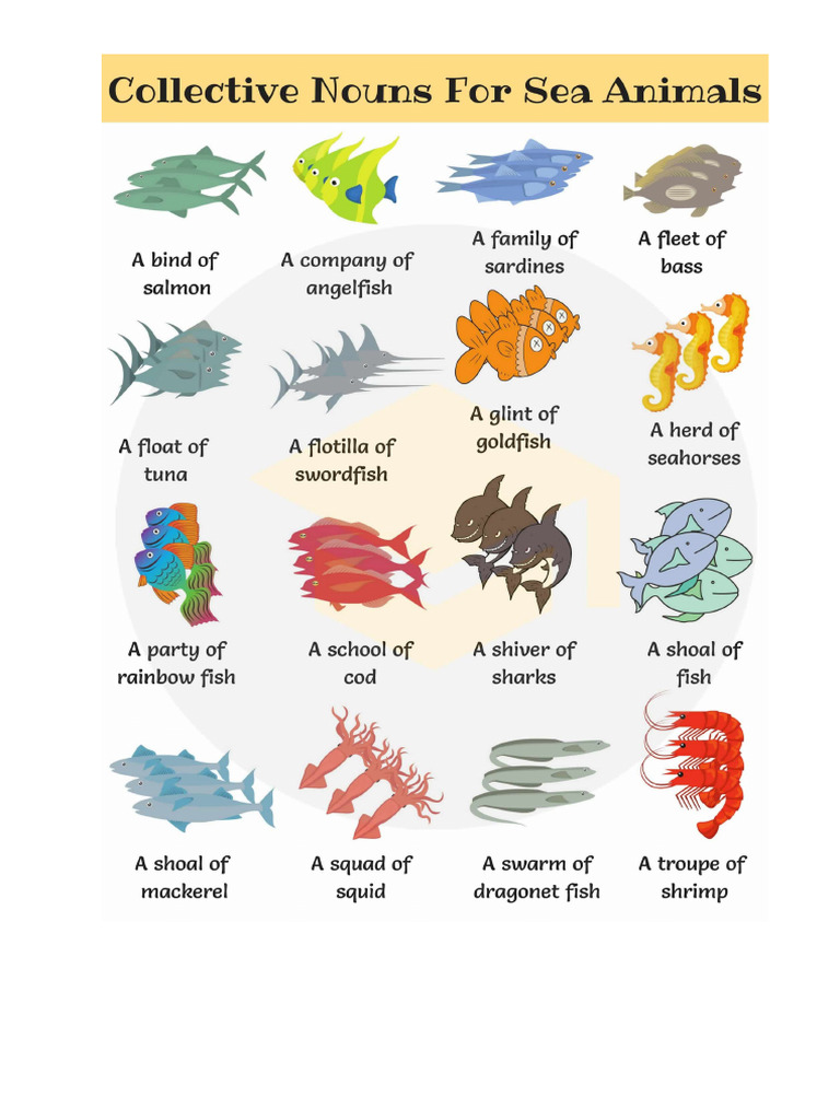 Collective Nouns - 2 | PDF