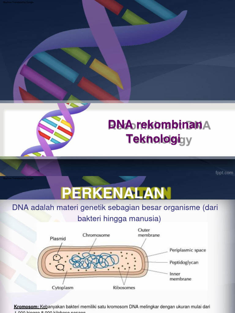 Biotechnology - Biomolekular 4 Recombinant DNA Technology | PDF ...