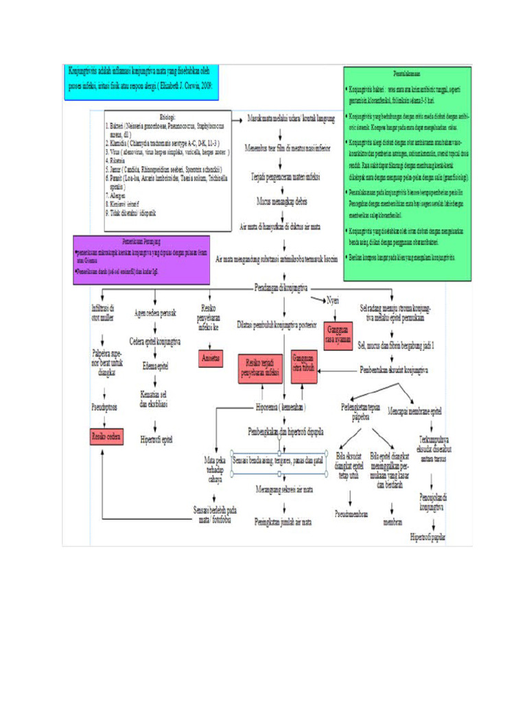 Patofis Konjungtivitis | PDF