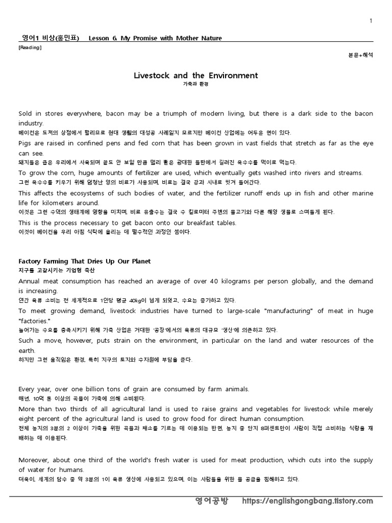 E1_VS_L6_해석 | PDF