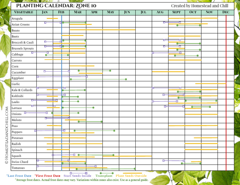 Zone 10 Planting Calendar Homestead and Chill | PDF