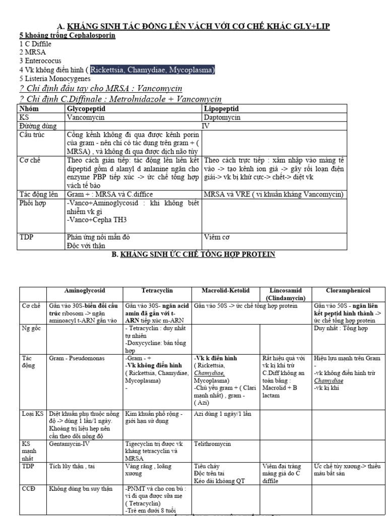 KHÁNG SINH T So N | PDF