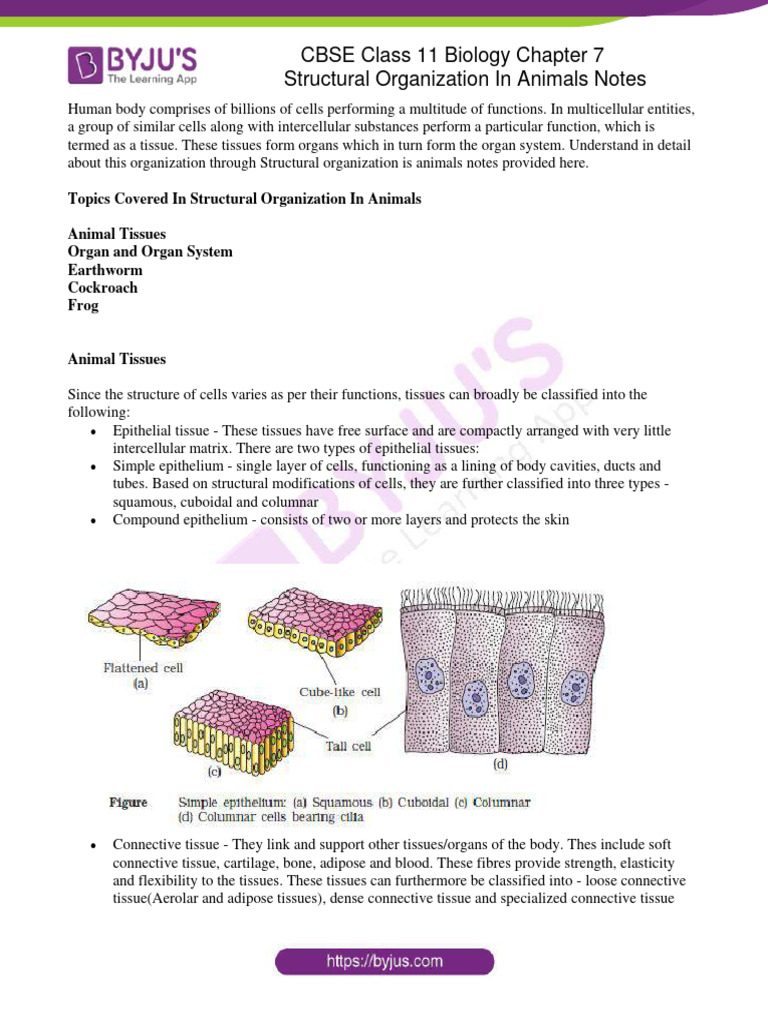 CBSE Class 11 Biology Chapter 7 Structural Organization in Animals ...