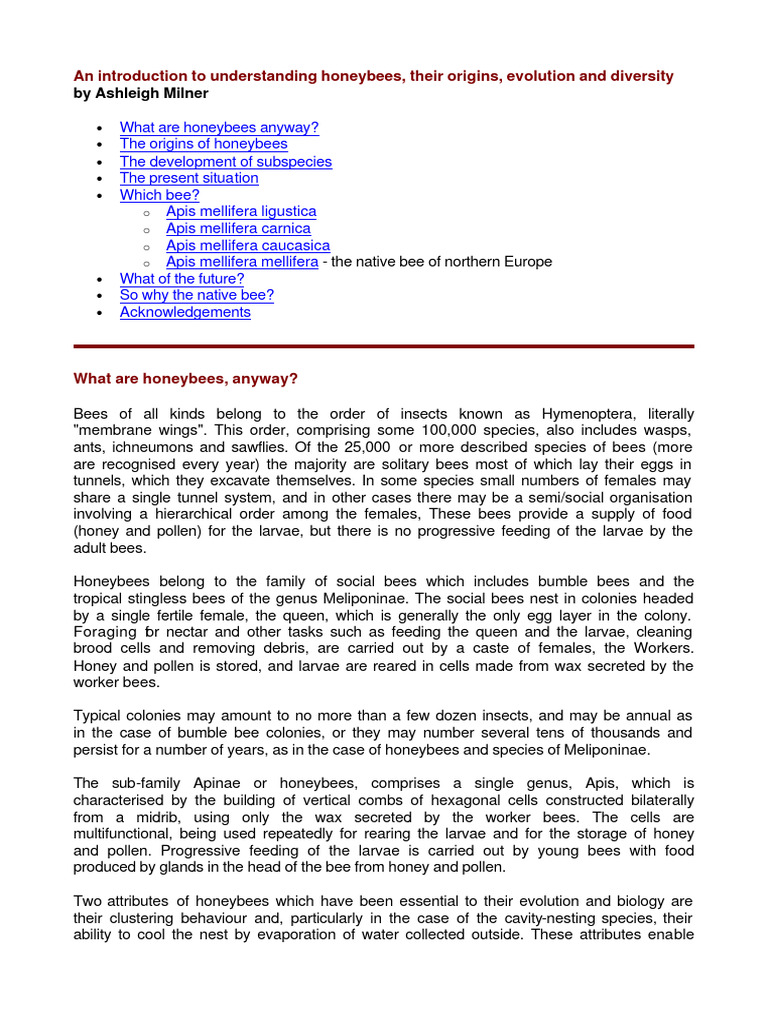 An Introduction Understanding Honeybees | PDF | Honey Bee | Western ...
