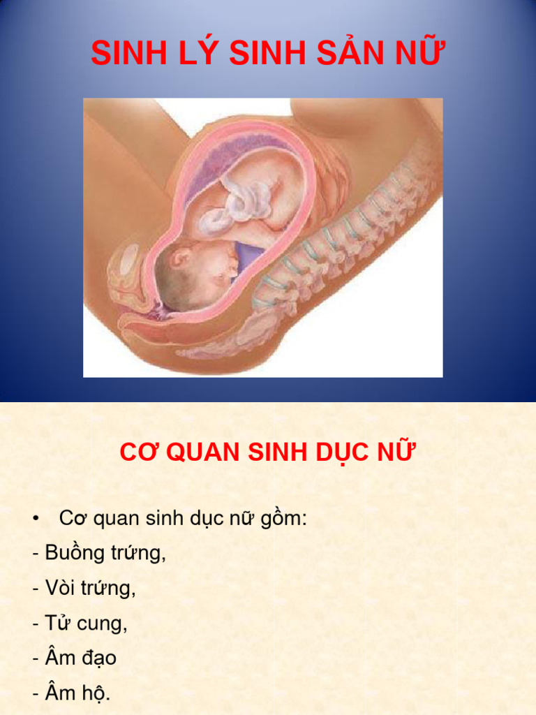 Sinh Lý Sinh S N N | PDF