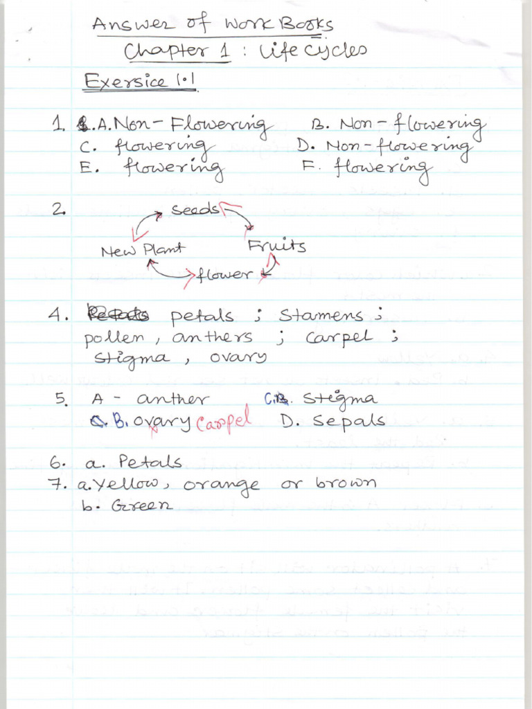 Science 3 Solution Work Book Pdf