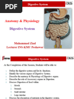Digestive System Grade 8 Lecture | PDF | Digestion | Stomach