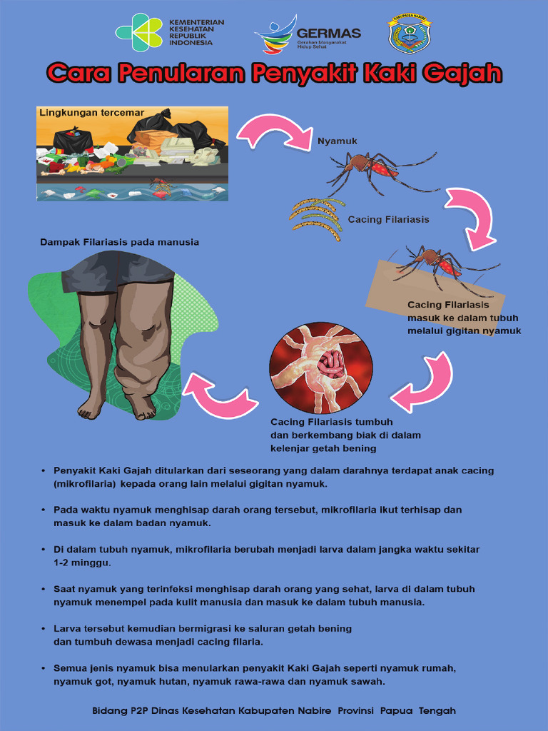 Poster Filariasis Nabire Papua | PDF