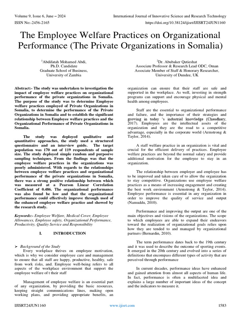 Somalia's Employee Welfare Impact | PDF | Employment | Occupational ...