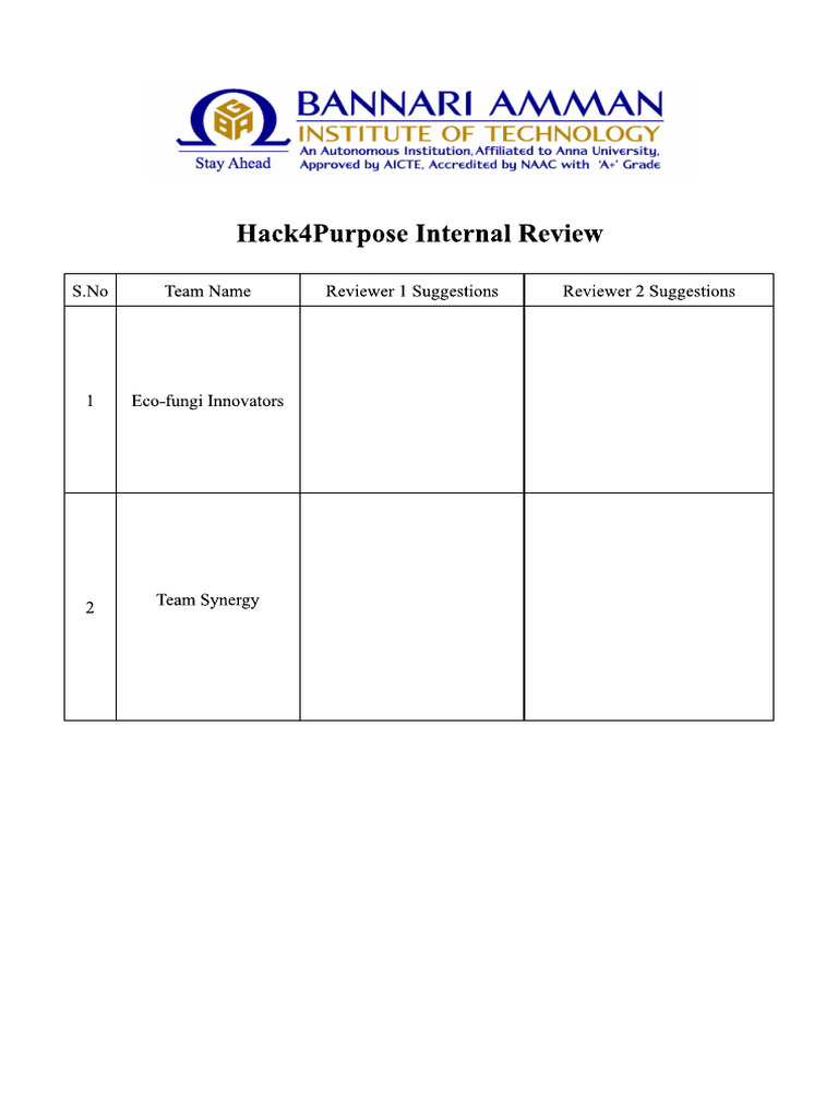 Internal Review Hack4purpose | PDF