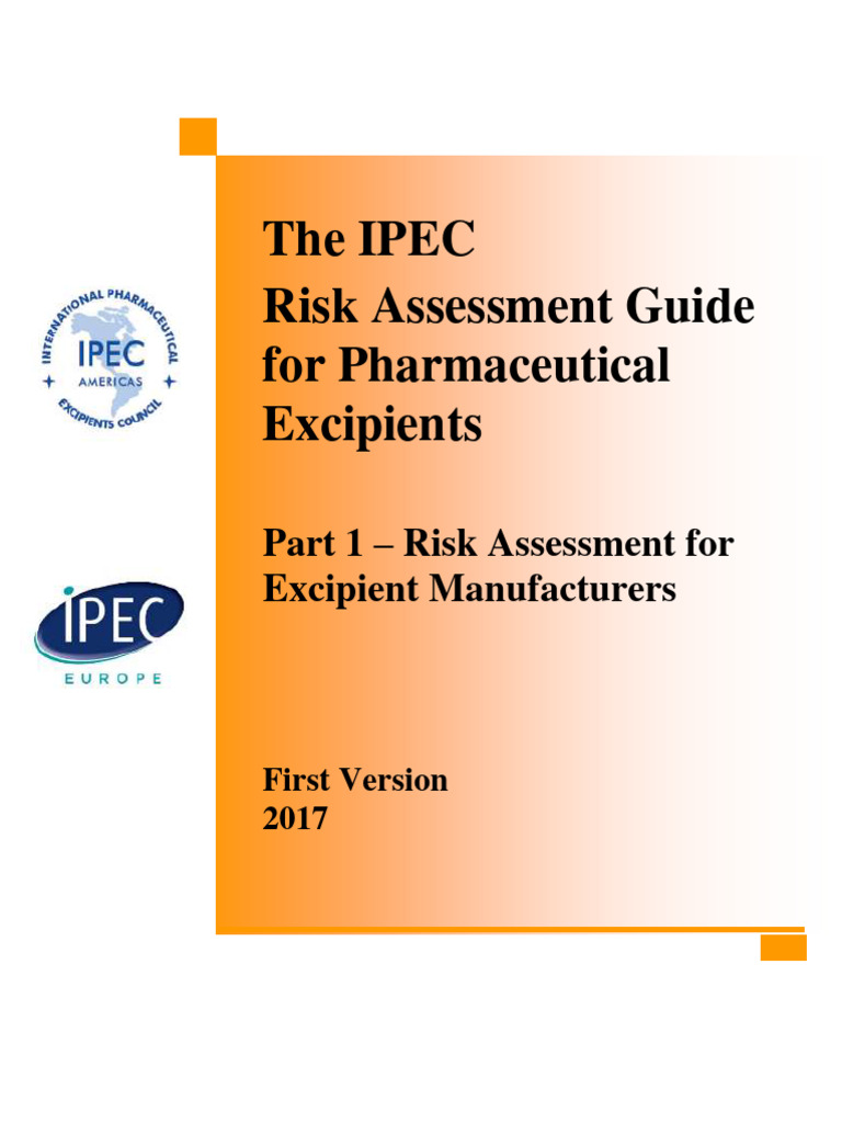 2017 Risk Assessment Guide 1544709252 | PDF | Risk Management | Risk