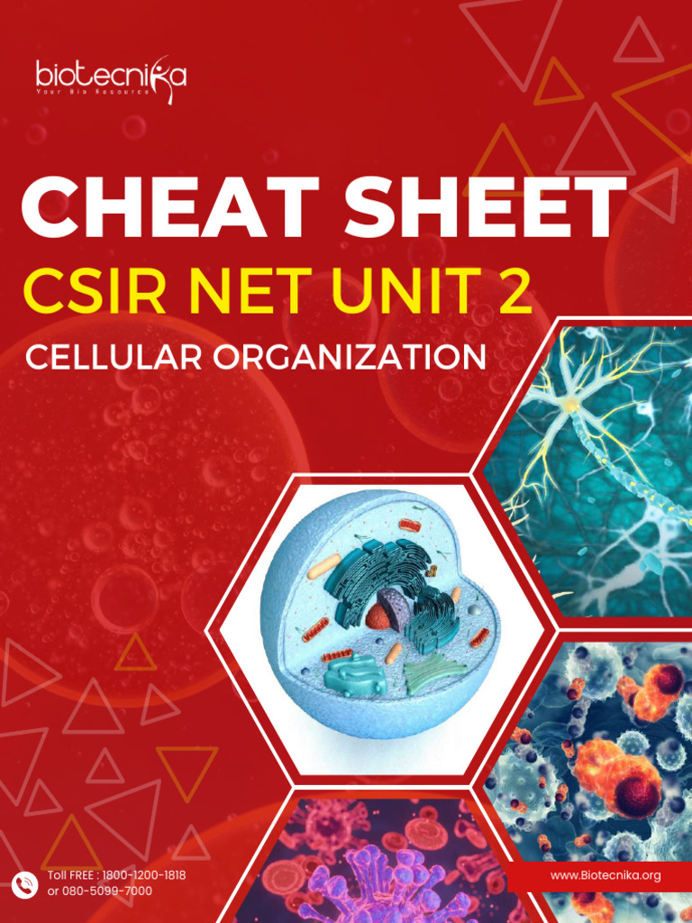 Unit 2 Cheat Sheet - PDF - Compressed - 2 | PDF | Cell Cycle | Cell ...