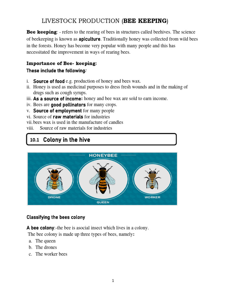 bee keeping | PDF | Honey Bee | Beekeeping