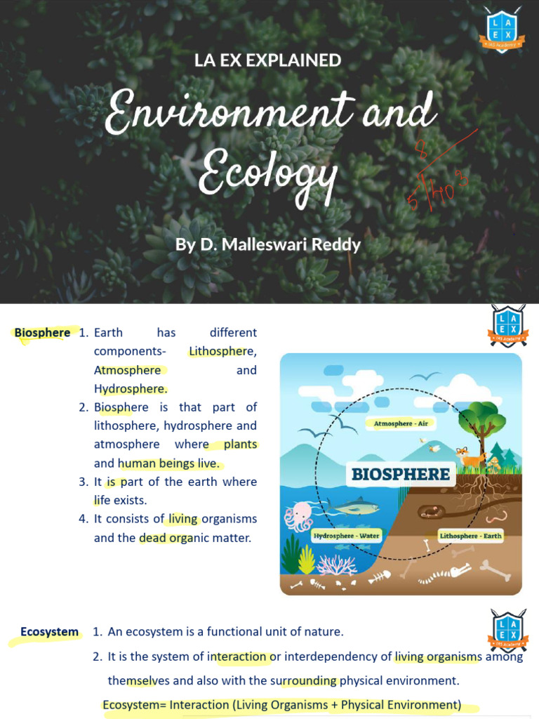 Ecology and Environment La Ex Explained | PDF | Food Web | Ecosystem