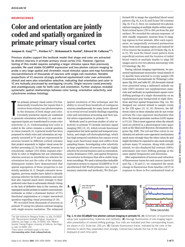 Color and Orientation Are Jointly Coded and Spatially Organized in ...
