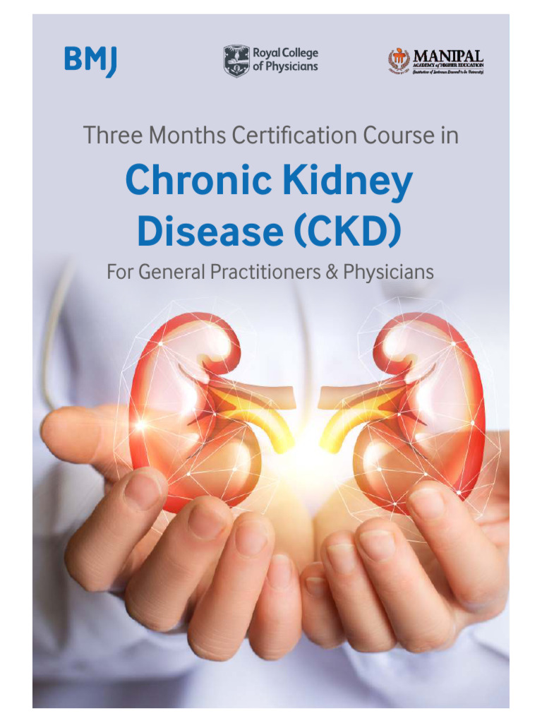 CKD Brochure Without ISN - Mahe | PDF | Chronic Kidney Disease | Kidney