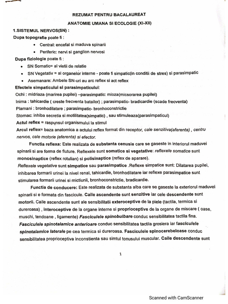 Rezumat Bac Bio 11-12 | PDF