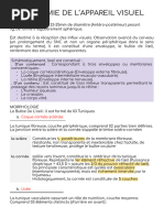 Anatomie du Corps Géniculé Latéral | PDF | Système visuel | Vision