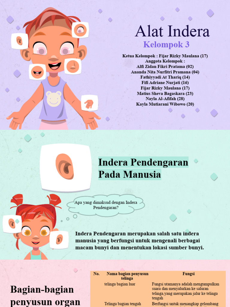 Indera Pendengaran | PDF