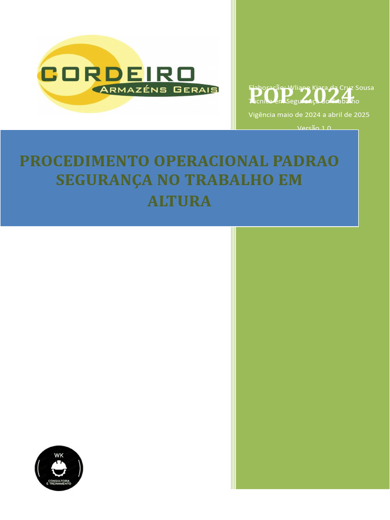 Procedimento Operacional Padrão | PDF