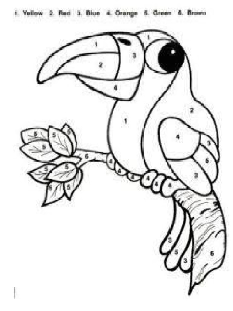Warna Burung Pdf