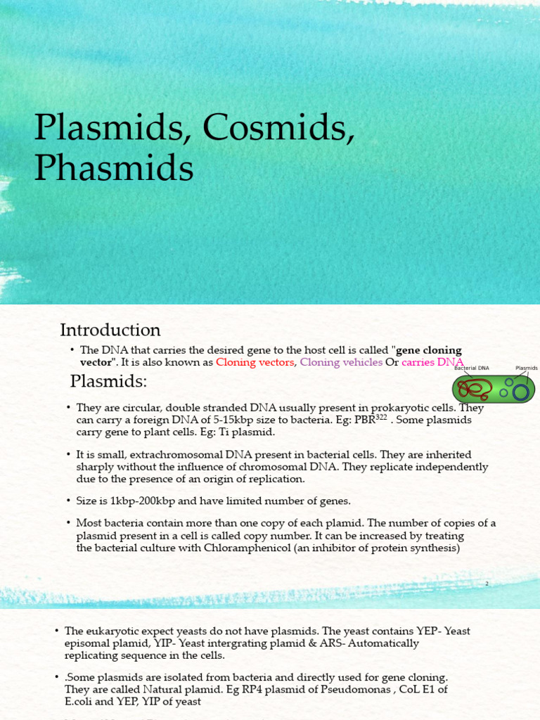Plasmids, Cosmids, Phasmids | PDF | Plasmid | Vector (Molecular Biology)
