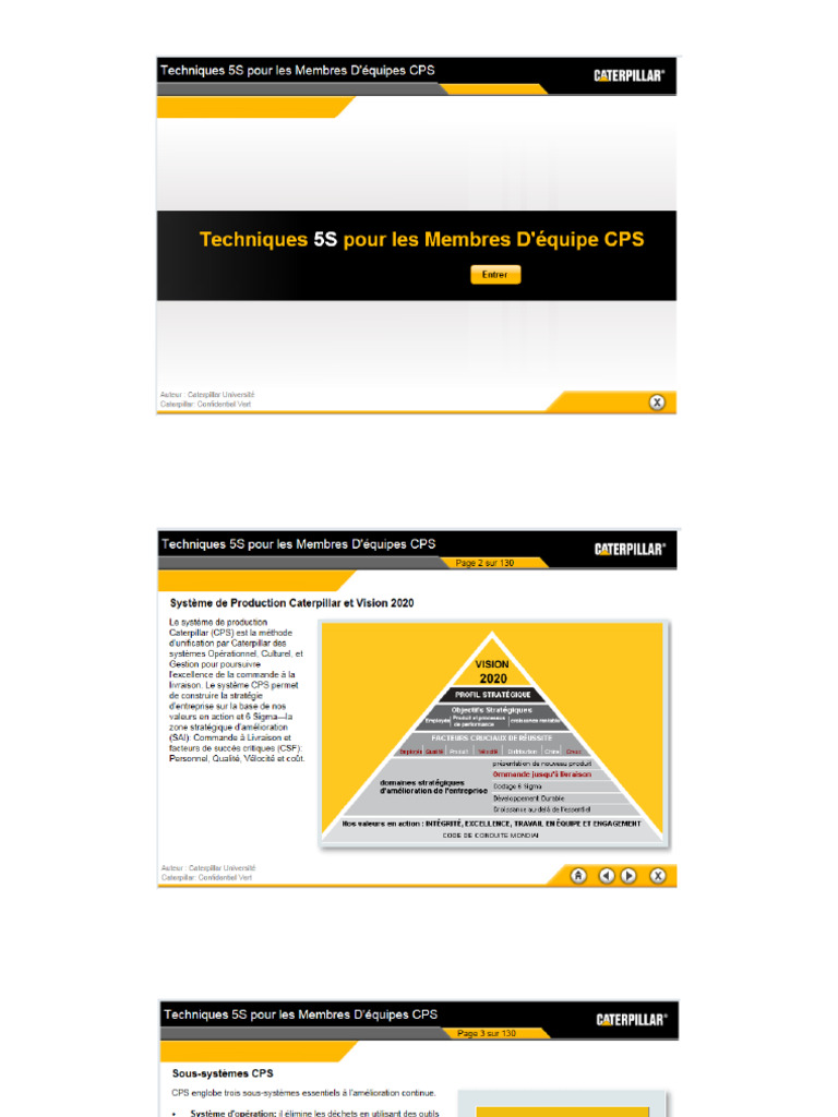 5S Cat Vision6sigma | PDF
