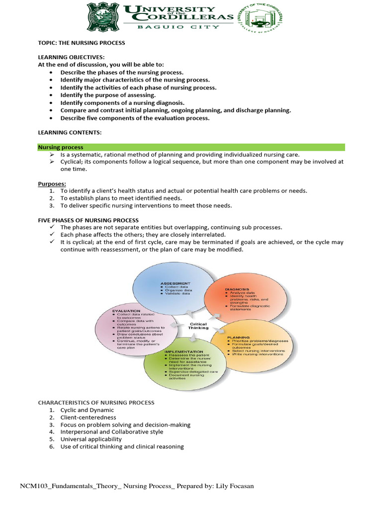 Understanding the Nursing Process | PDF | Medical Diagnosis | Nursing