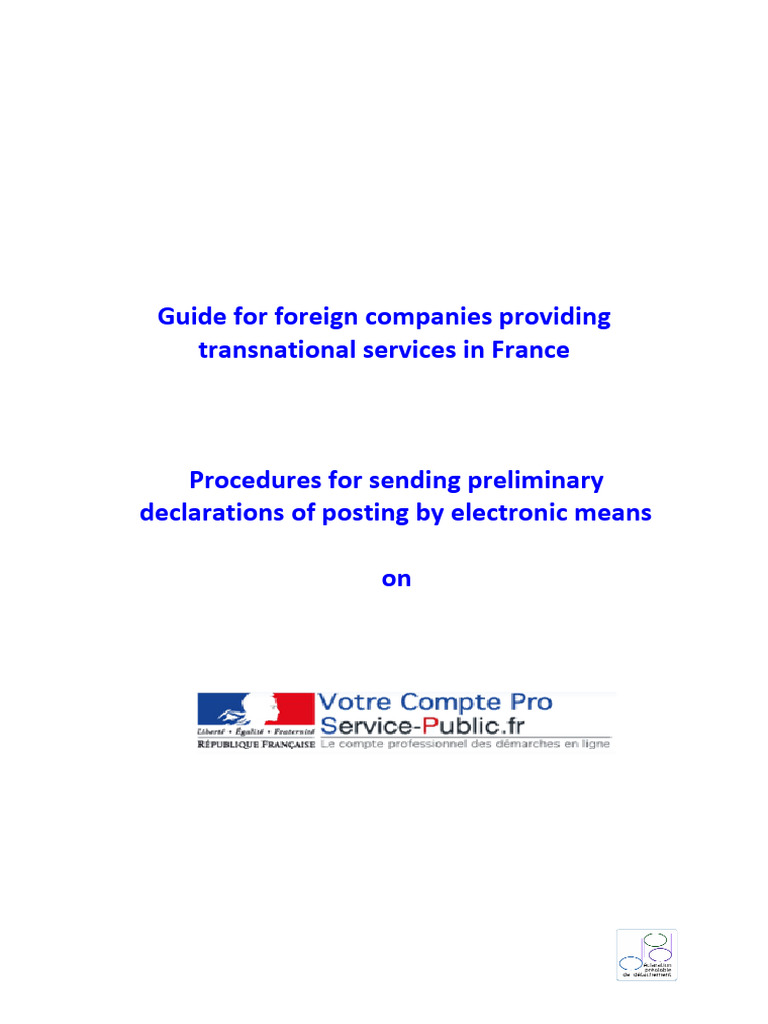 EN-transnational Posting Declaration Internet | PDF