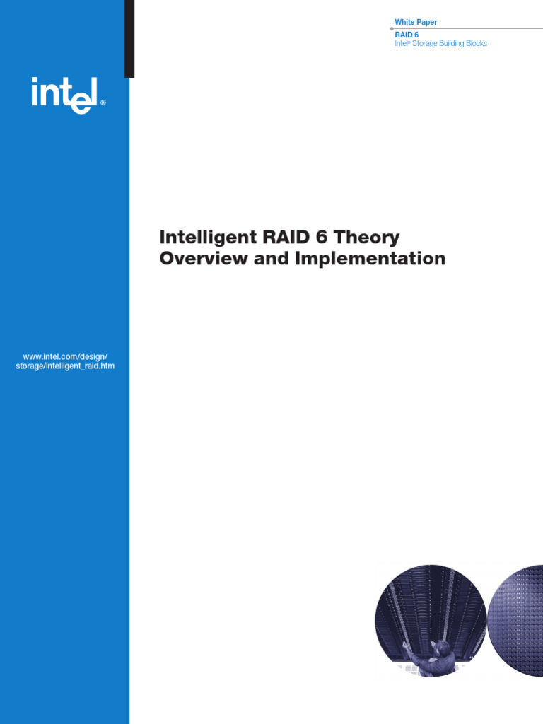 RAID 6 工作原理 | PDF | Field (Mathematics) | Computer Engineering