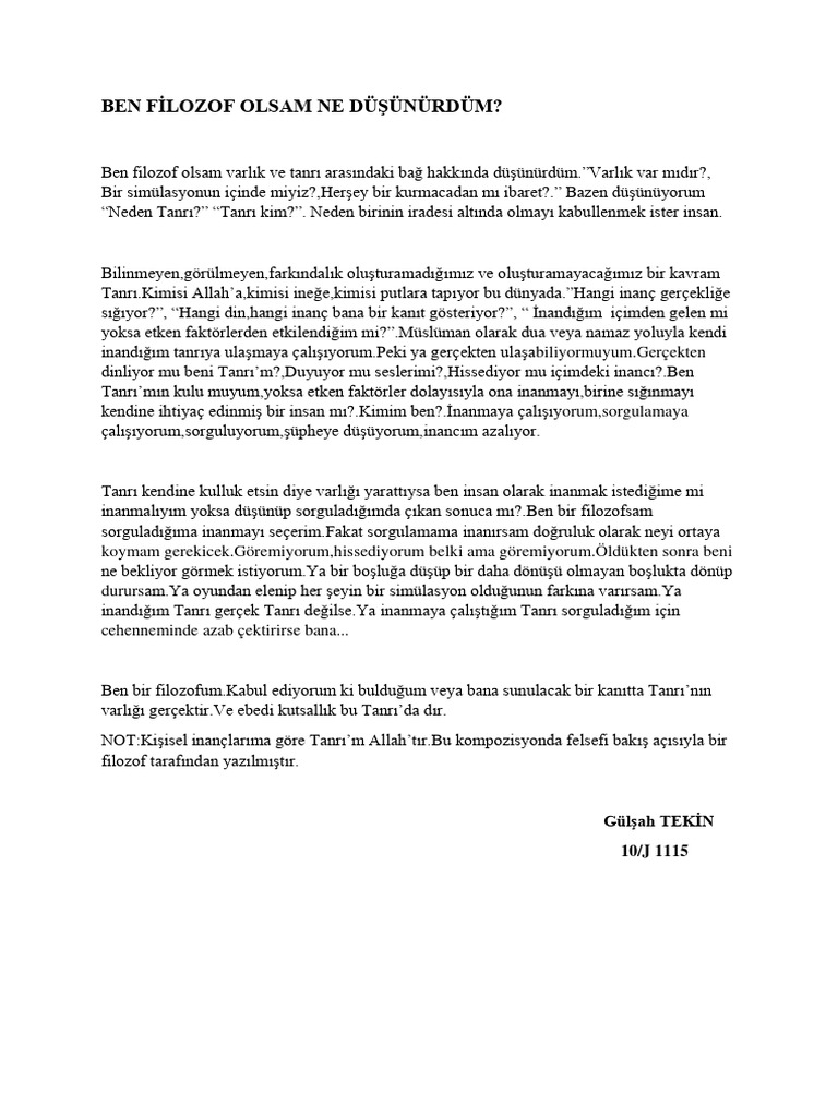 Felsefe Performans Ödevi | PDF