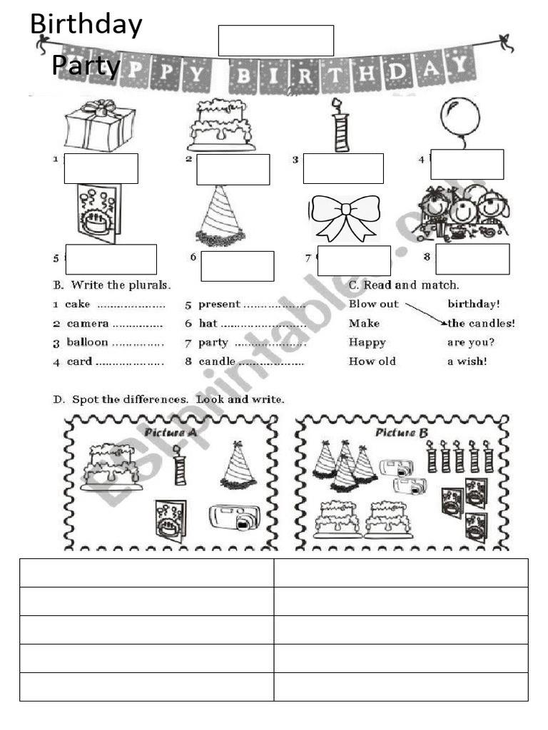 My Memorable Birthday Party Essay | PDF