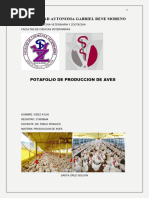 Analisis de Demanda en Bolivia | PDF | Bolivia | Carne