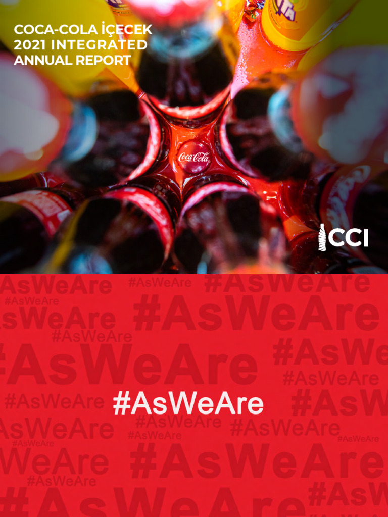 Cci E.S.R. 2021 en Final | PDF | Audit | Sustainability