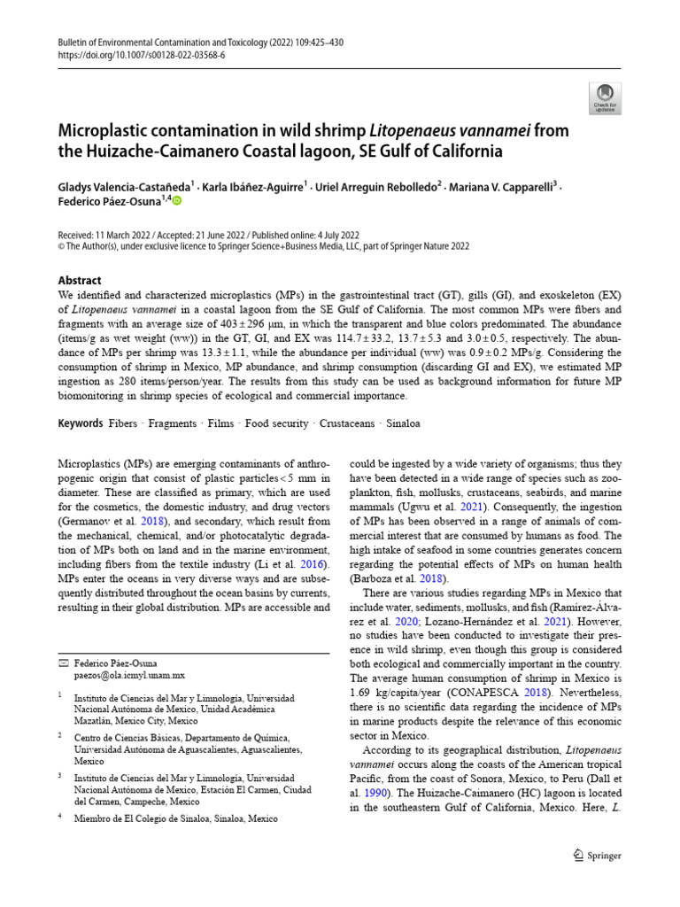 Microplastic Contamination in Wild Shrimp Litopenaeus Vannamei From The ...